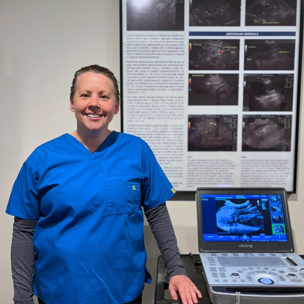 Carolina Veterinary Mobile, LLC Carolina Veterinary Mobile Ultrasound ...